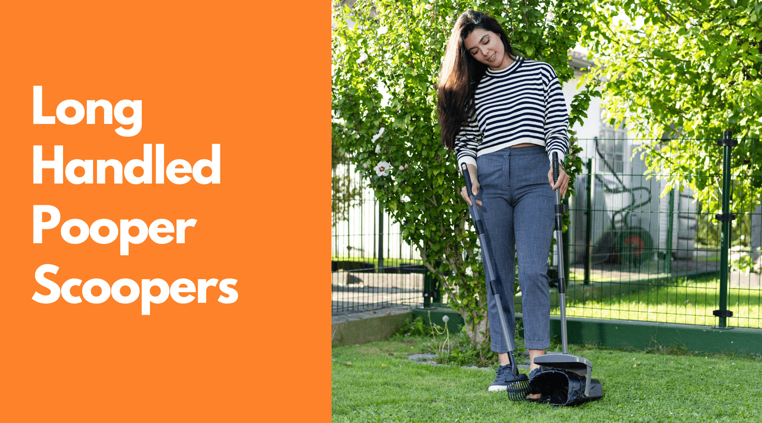 Long Handled Pooper Scoopers: The Hygienic & Efficient Clean-Up Choice ...
